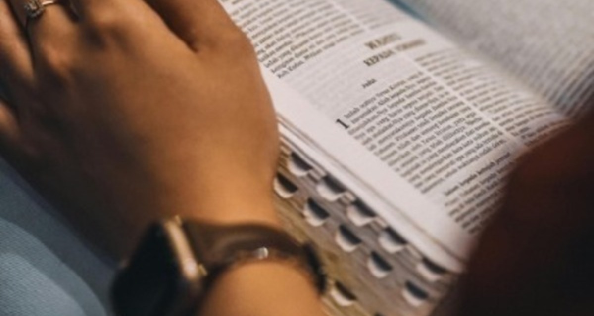 Read the Bible in a Year With Us - Northern Illinois Annual Conference